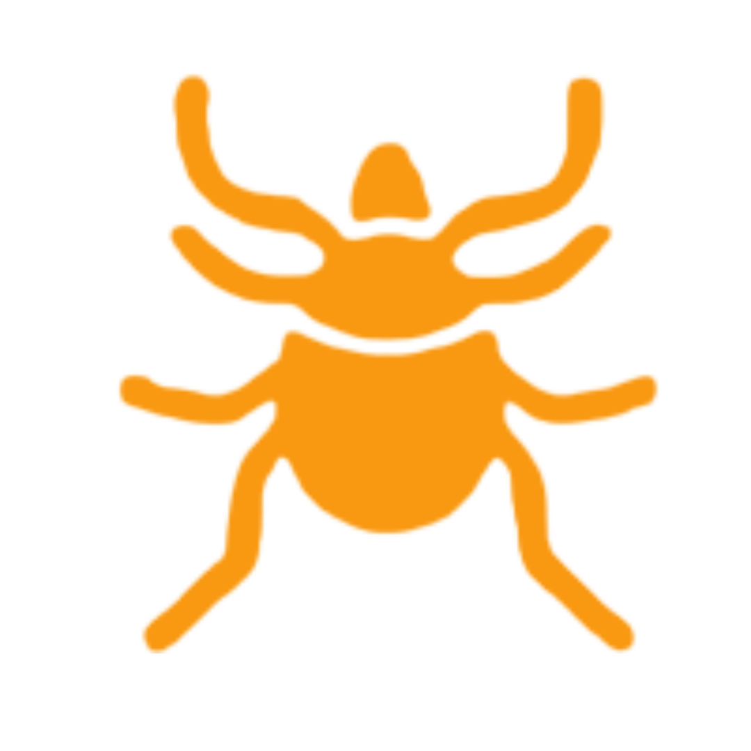 Pest Control Perth, Affordable Pest Control Services Perth
